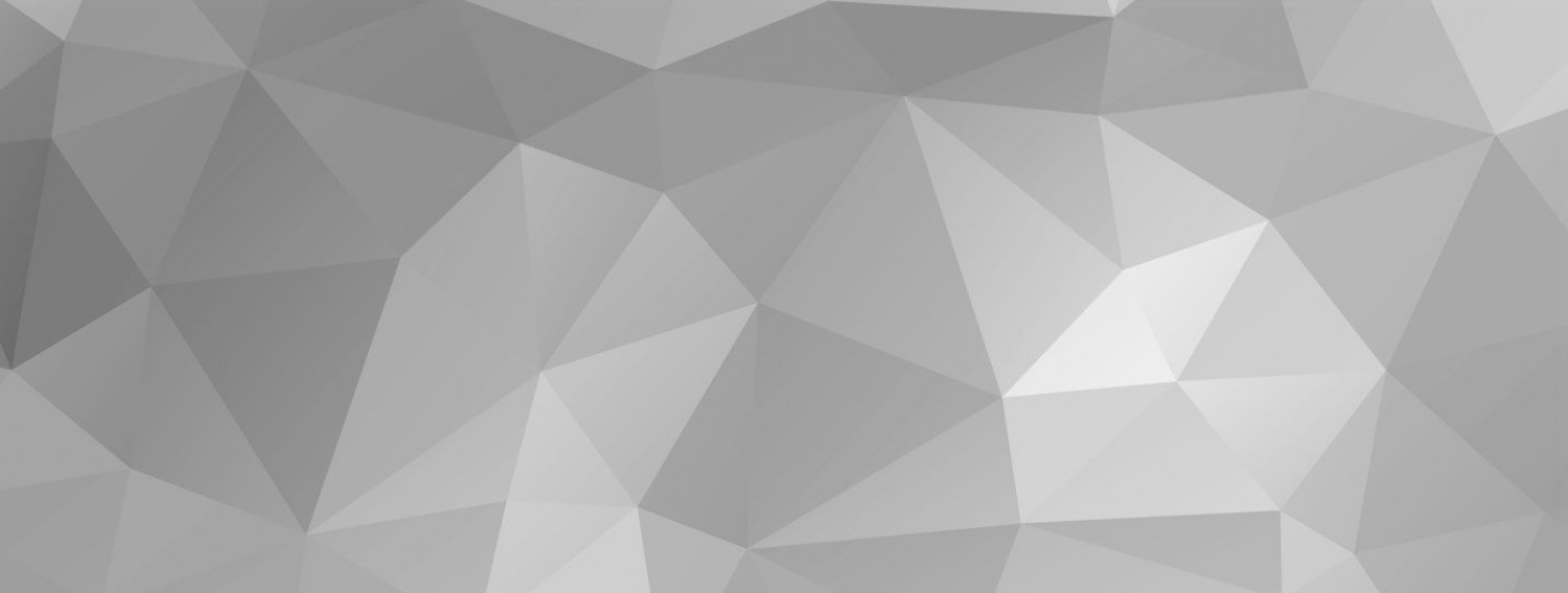 Magic Triangle fra St. Gallen - Digital Business Development